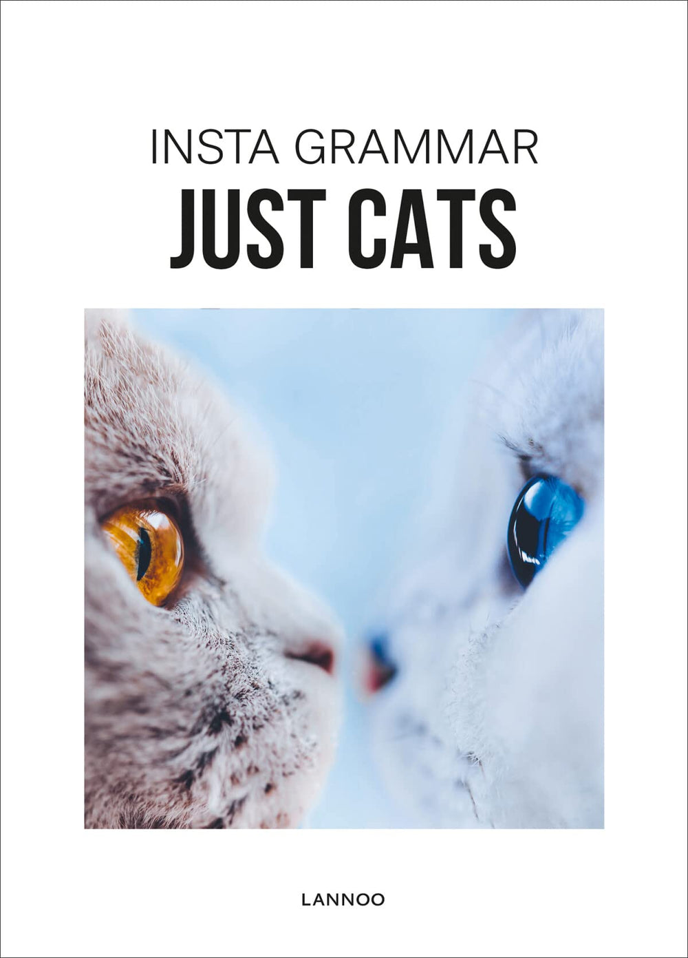 INSTA GRAMMAR JUST CATS